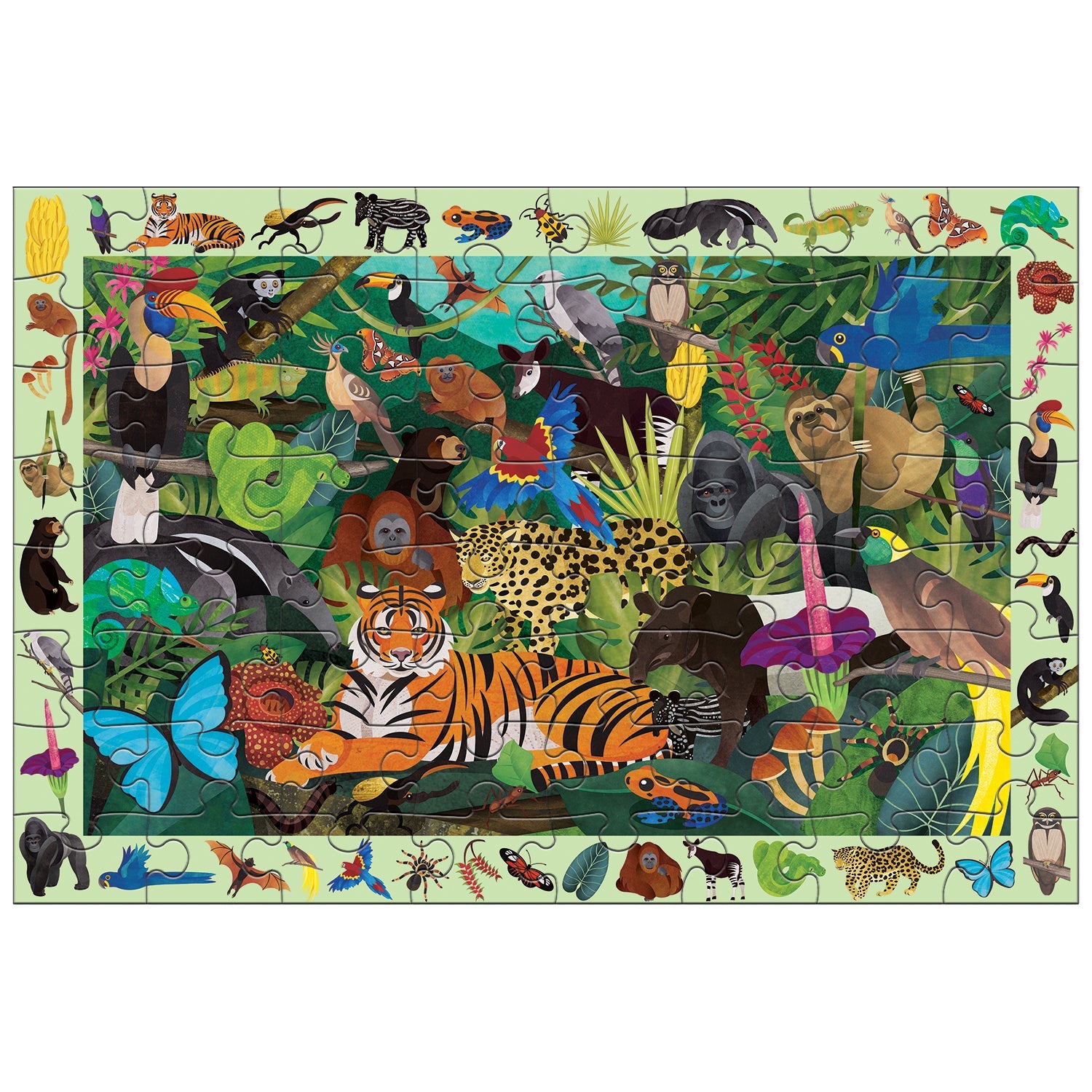 RAINFOREST SEARCH – Game Centre Nz